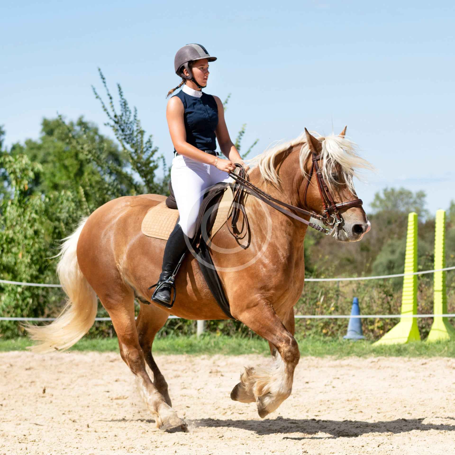 Top 5 photo locations to update your horse club portfolio - Stable ...