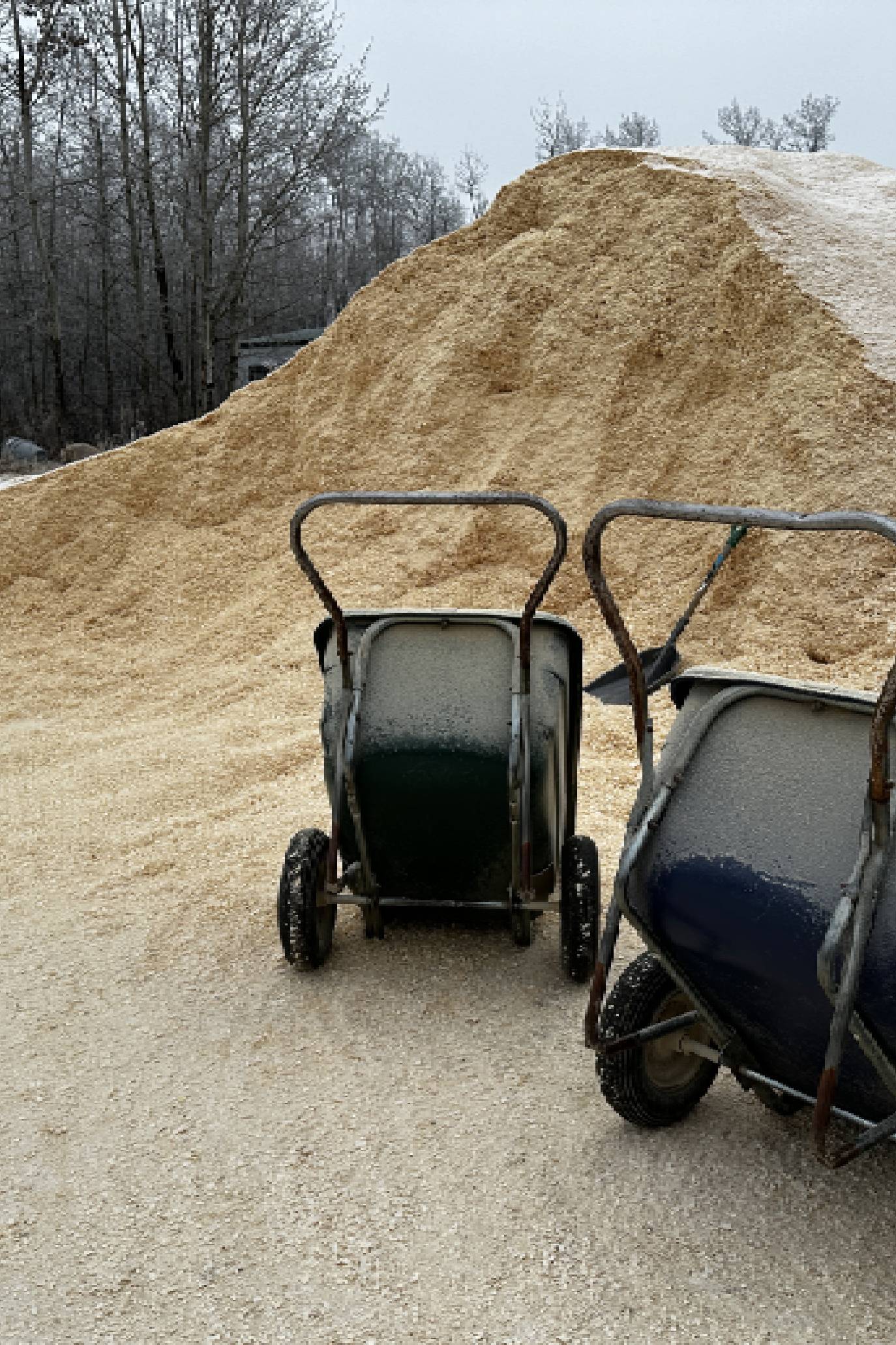 Stable Owners Association Of Alberta - Non-profit for Equine Community